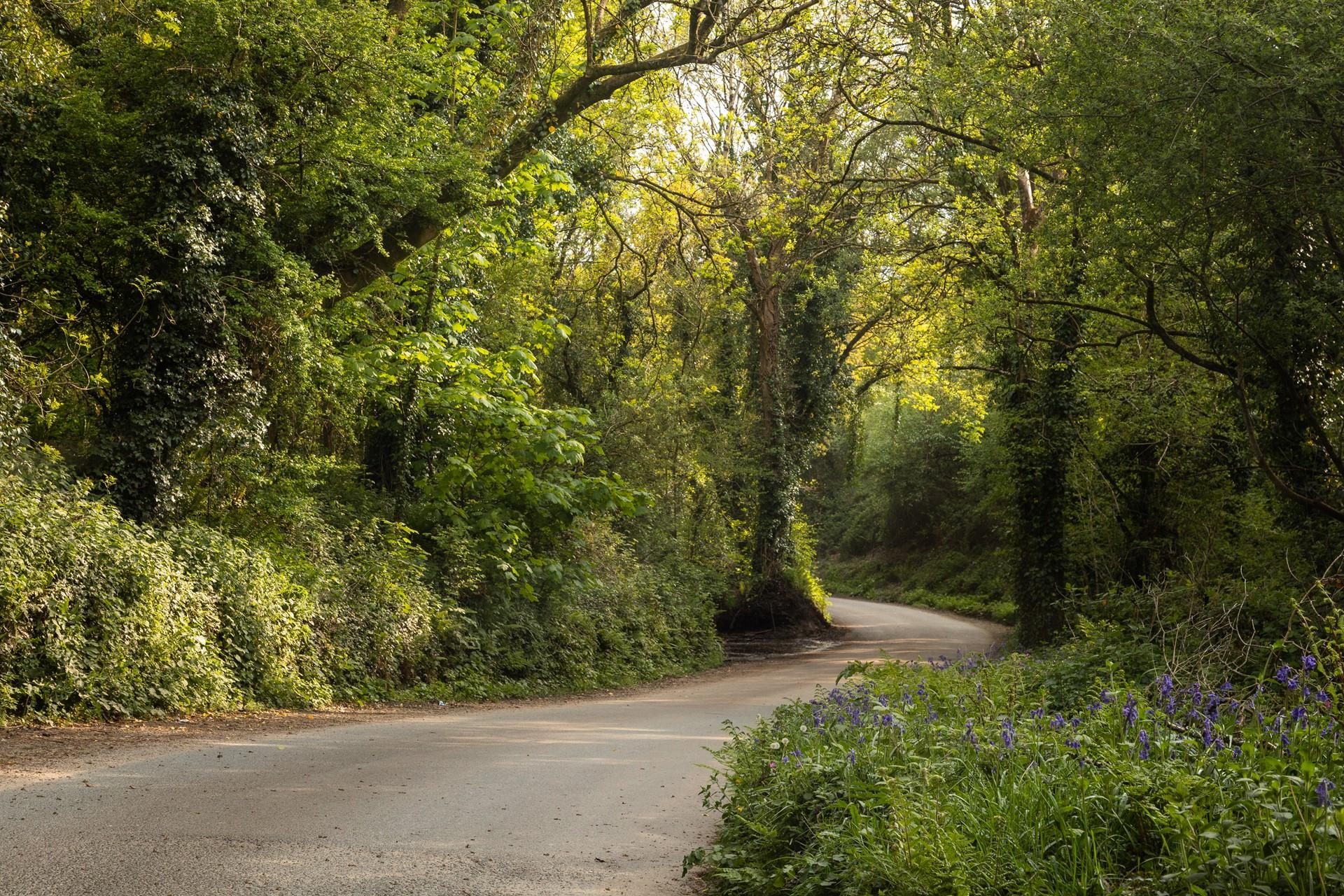Snug Barn, Mid Cornwall | Aspects Holidays
