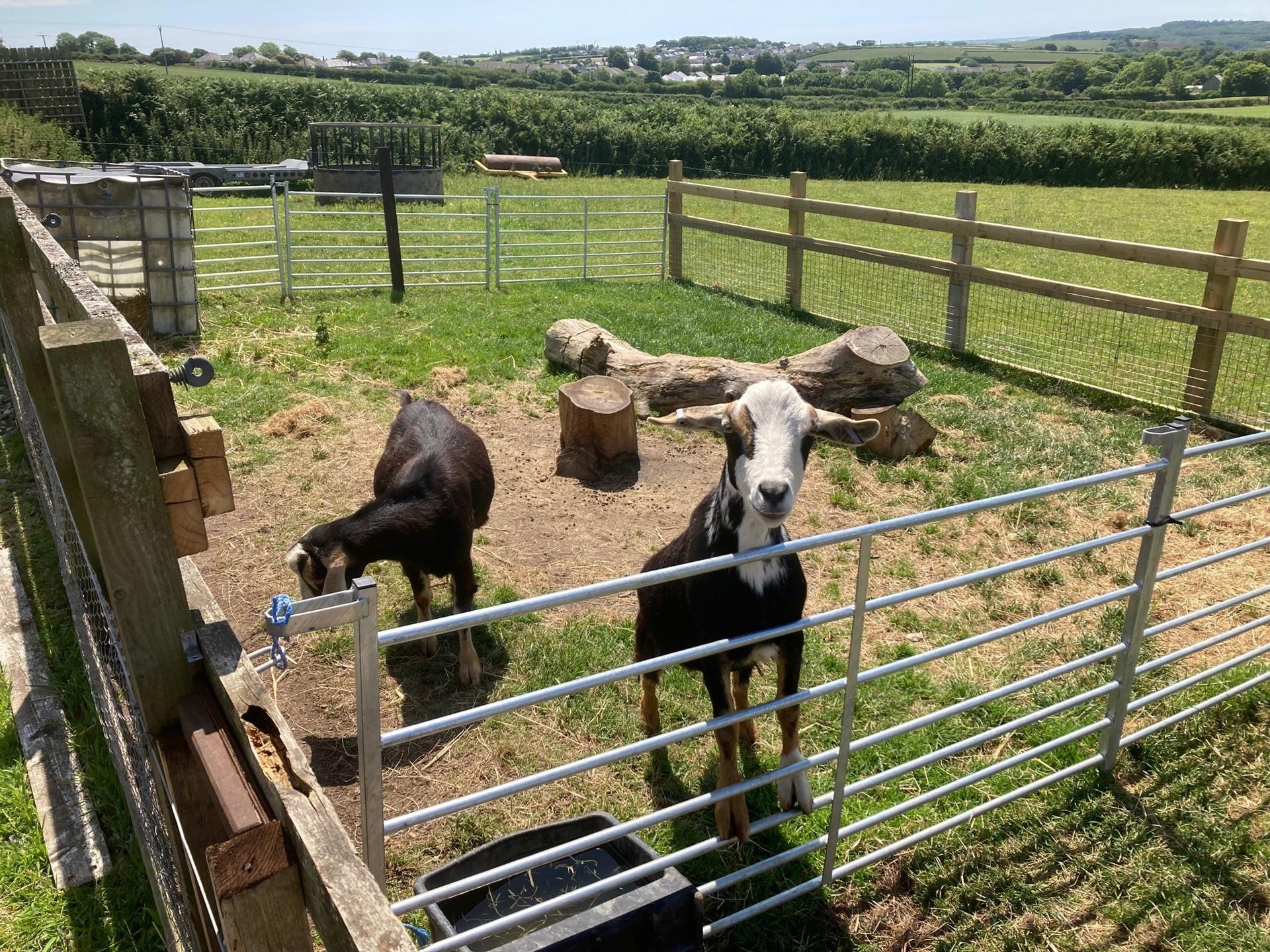 Snug Barn, Mid Cornwall | Aspects Holidays
