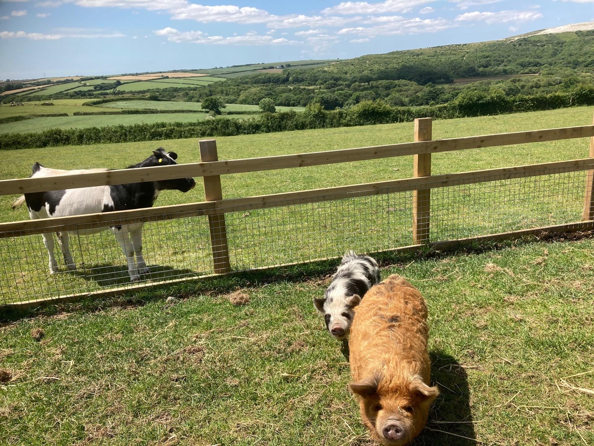 Snug Barn, Mid Cornwall | Aspects Holidays