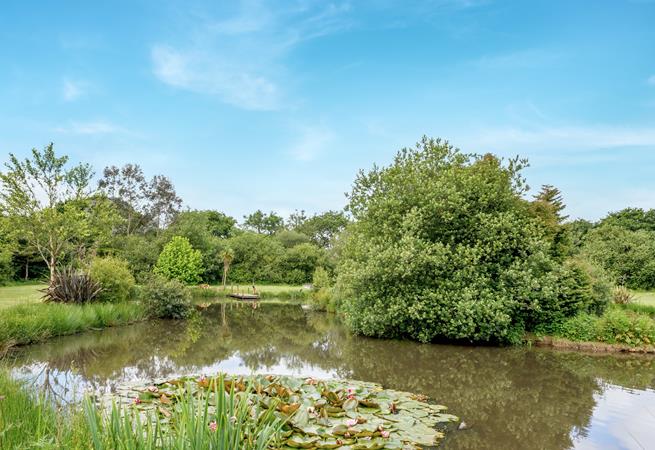 Tree Fern Barn (3621) | Ferienhäuser in Cornwall | Urlaub in Cornwall