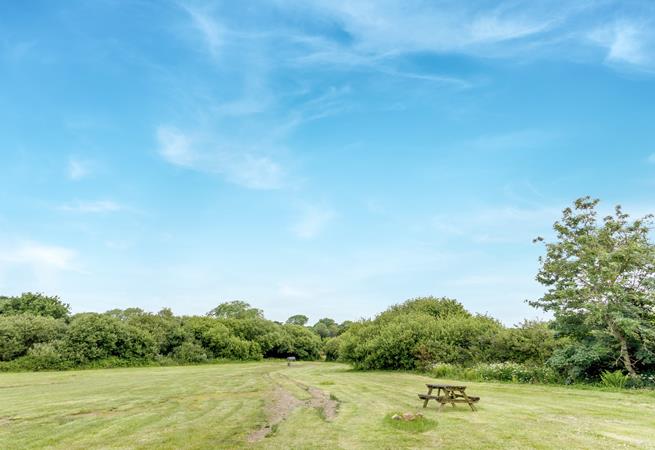 Tree Fern Barn (3621) | Ferienhäuser in Cornwall | Urlaub in Cornwall