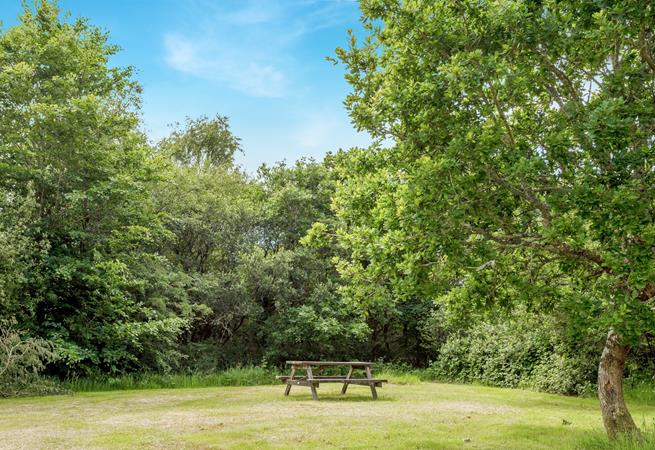 Tree Fern Barn (3621) | Ferienhäuser in Cornwall | Urlaub in Cornwall