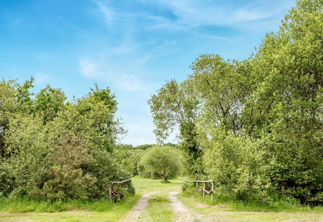 Tree Fern Barn (3621) | Ferienhäuser in Cornwall | Urlaub in Cornwall